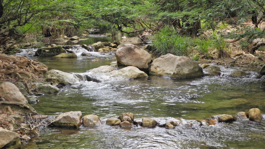 Annual Report 2023 | Interamerican Association for Environmental ...