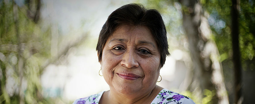 Leydy Pech, la guardiana de las abejas | Interamerican Association for ...