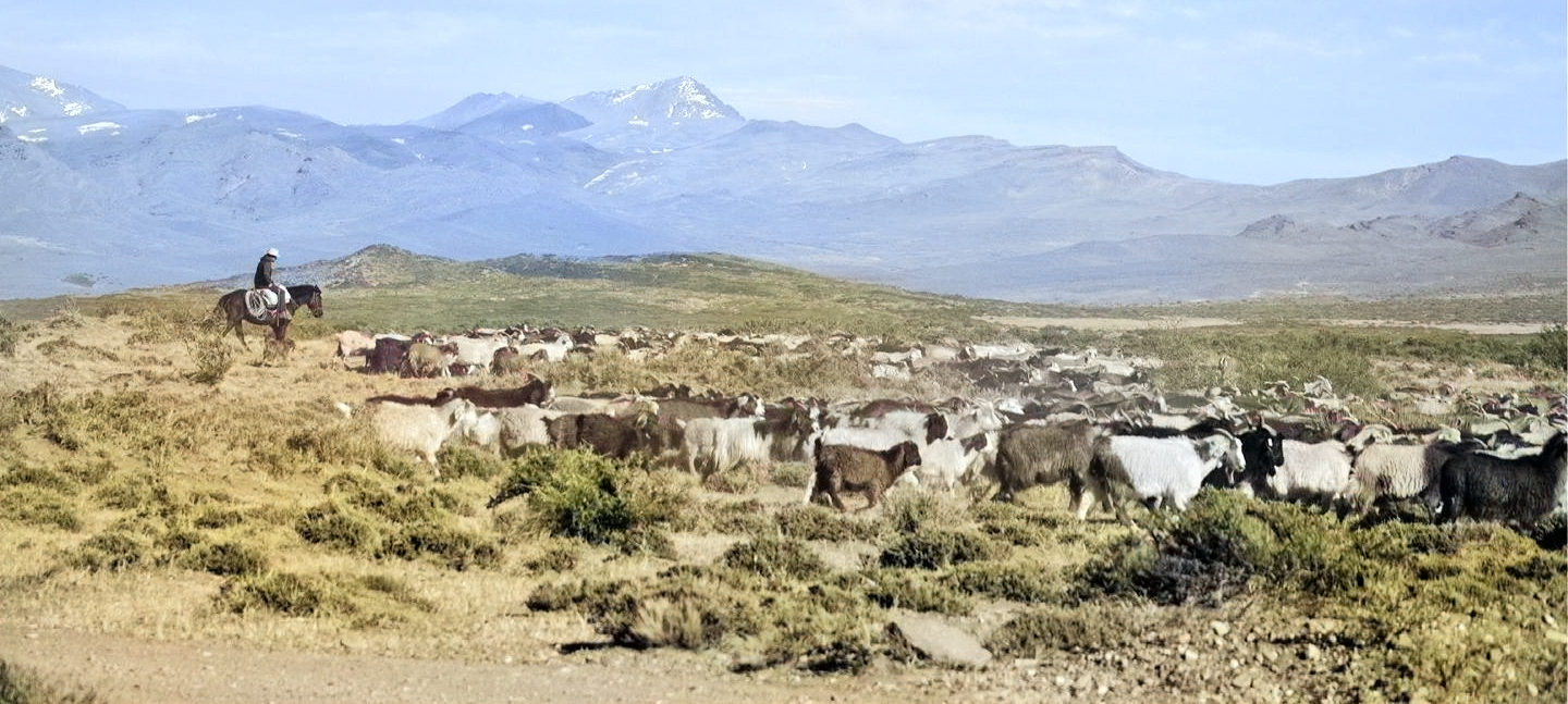 Los mapuches: en defensa de su territorio ancestral en Argentina ...