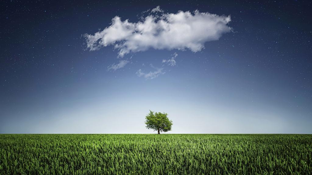 2016: 6 reasons to maintain hope for the environment | Interamerican ...