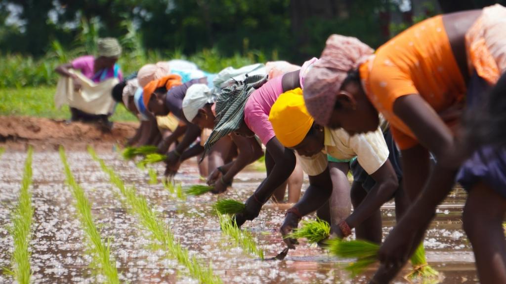 Session 2 of the 2023 GCF Watch International Webinar Series ...