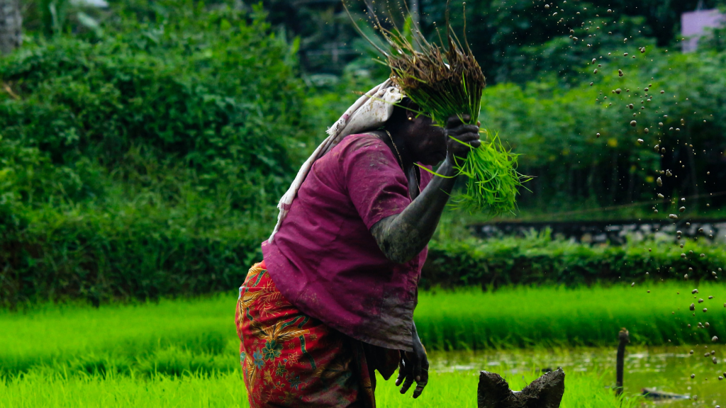 Session 1 of the 2022 GCF Watch International Webinar Series ...