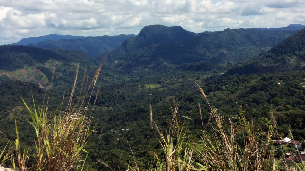 The day that the indigenous struggle bore fruit in Guatemala ...