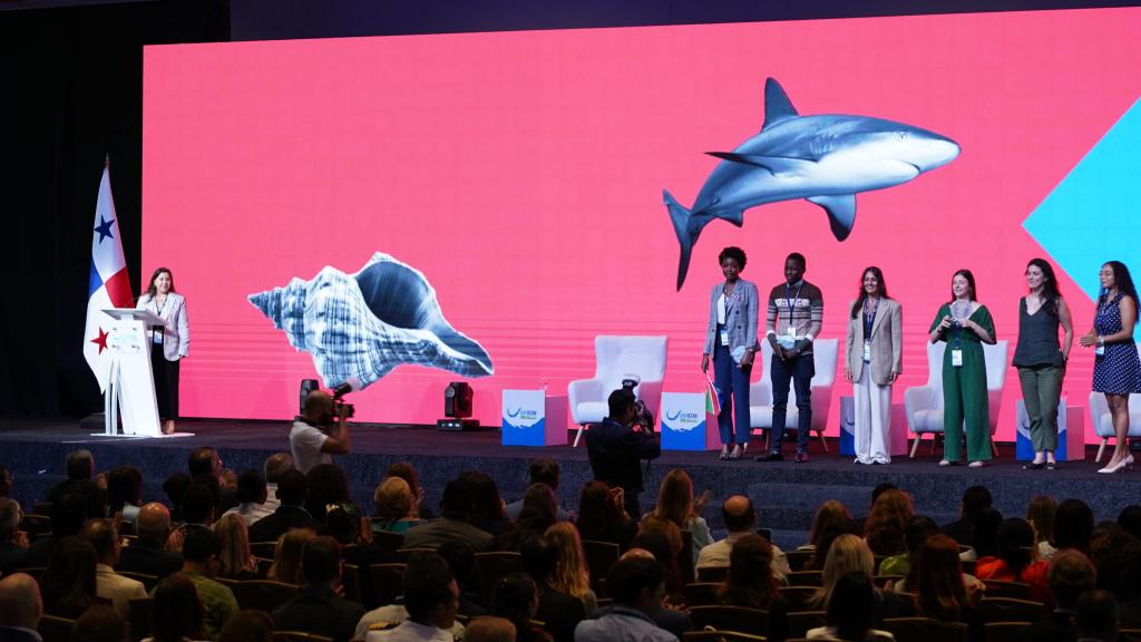 Commitments to marine conservation: A look back at Our Ocean 2023 | Interamerican Association ...