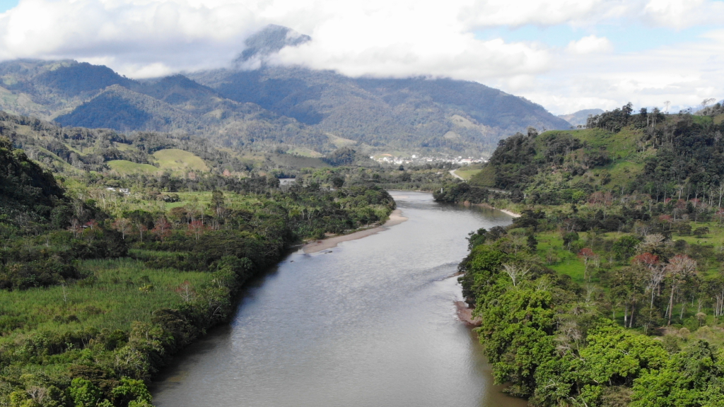 Cumbre Amazónica: 6 propuestas para preservar la Amazonía desde la ...