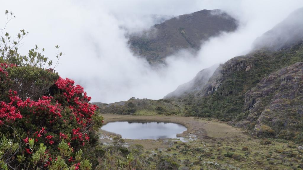 Elementos clave para la protección de los páramos y el agua en América ...